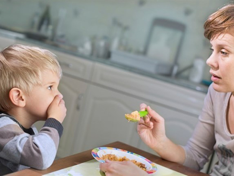 comer - The Family Watch